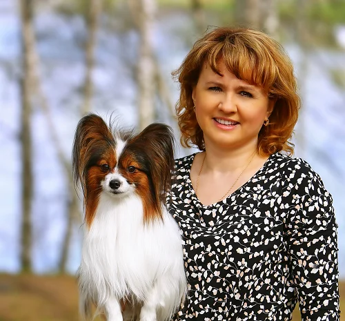 Информация о питомнике папийонов Artoli Kennel